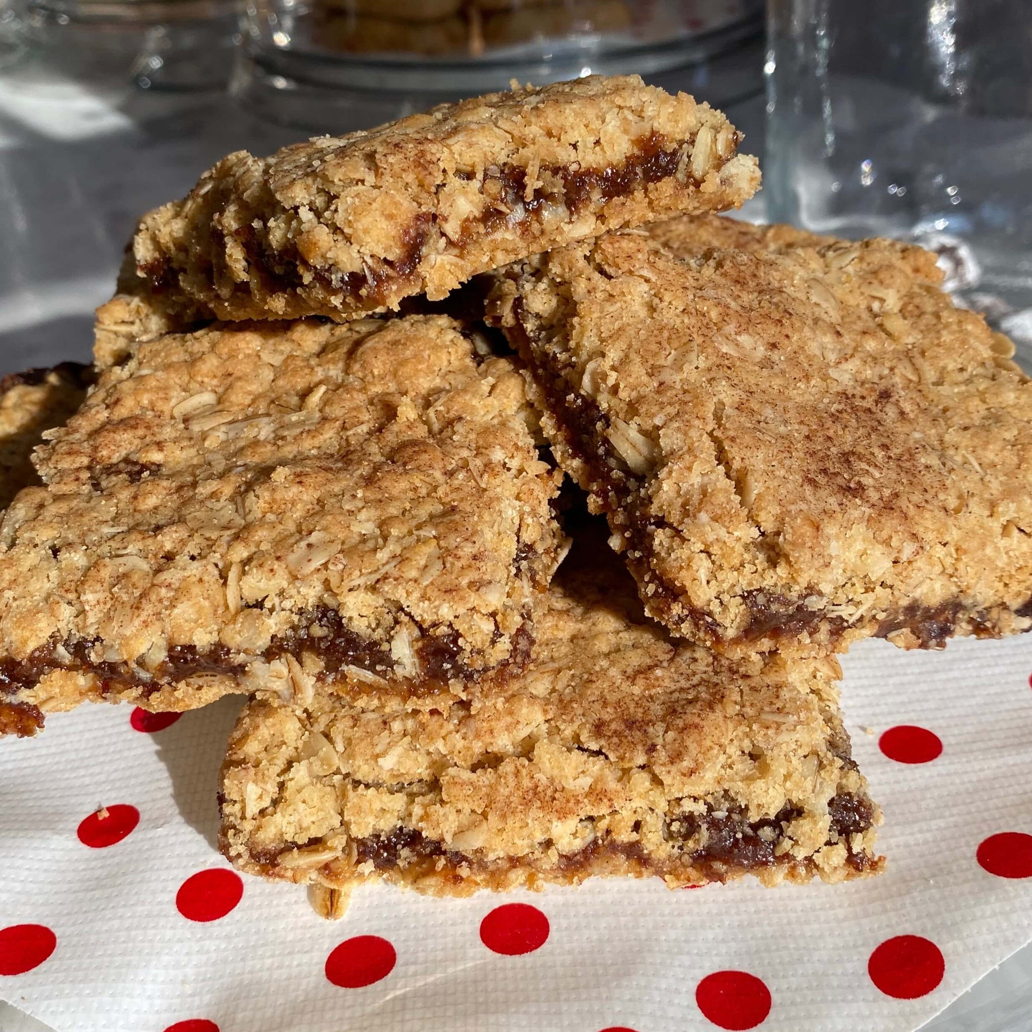 Oatmeal Raisin Safari Bars – Sweet Seidner's Bake Shop